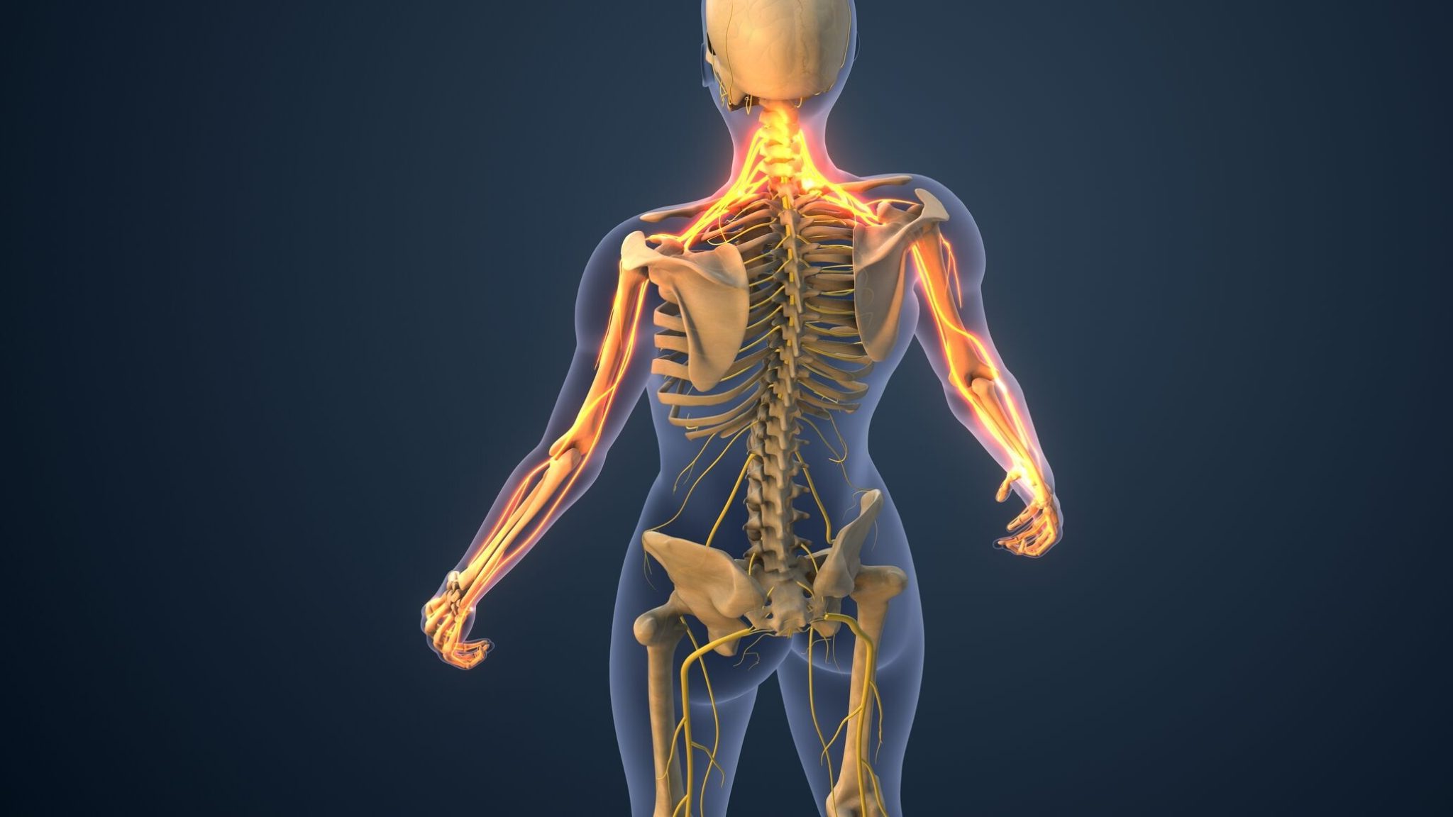 Brachial Plexus Treatment Chicago - Nerve Reconstruction Chicago