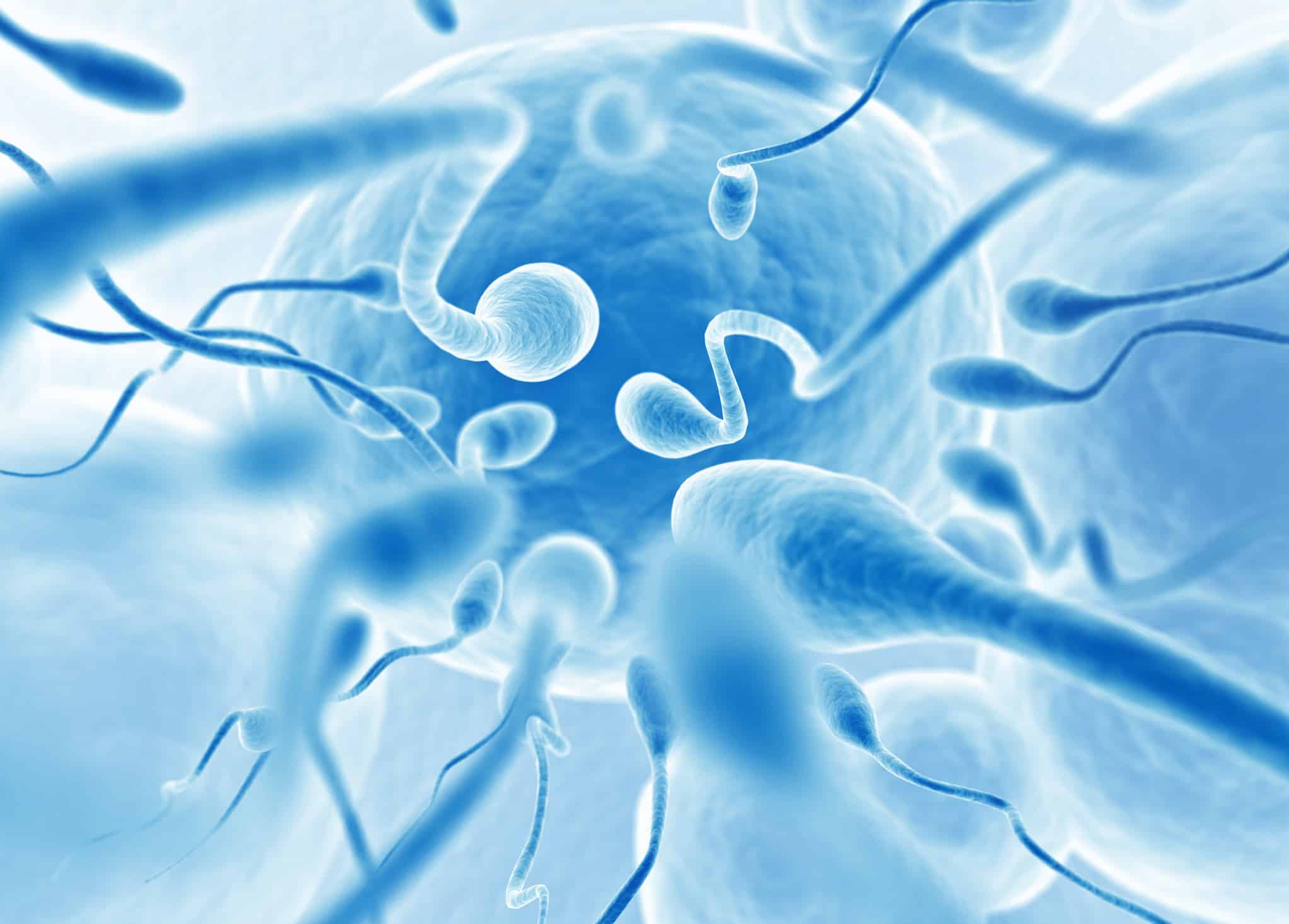 Stem Cell Research Can Create people? | Sperm Stem Cell Therapy
