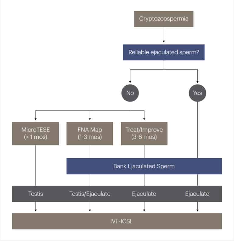 Cryptozoospermia Treatment Los Angeles - Semen Analysis