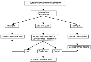Hormone Replacement Therapy Los Angeles & San Francisco CA